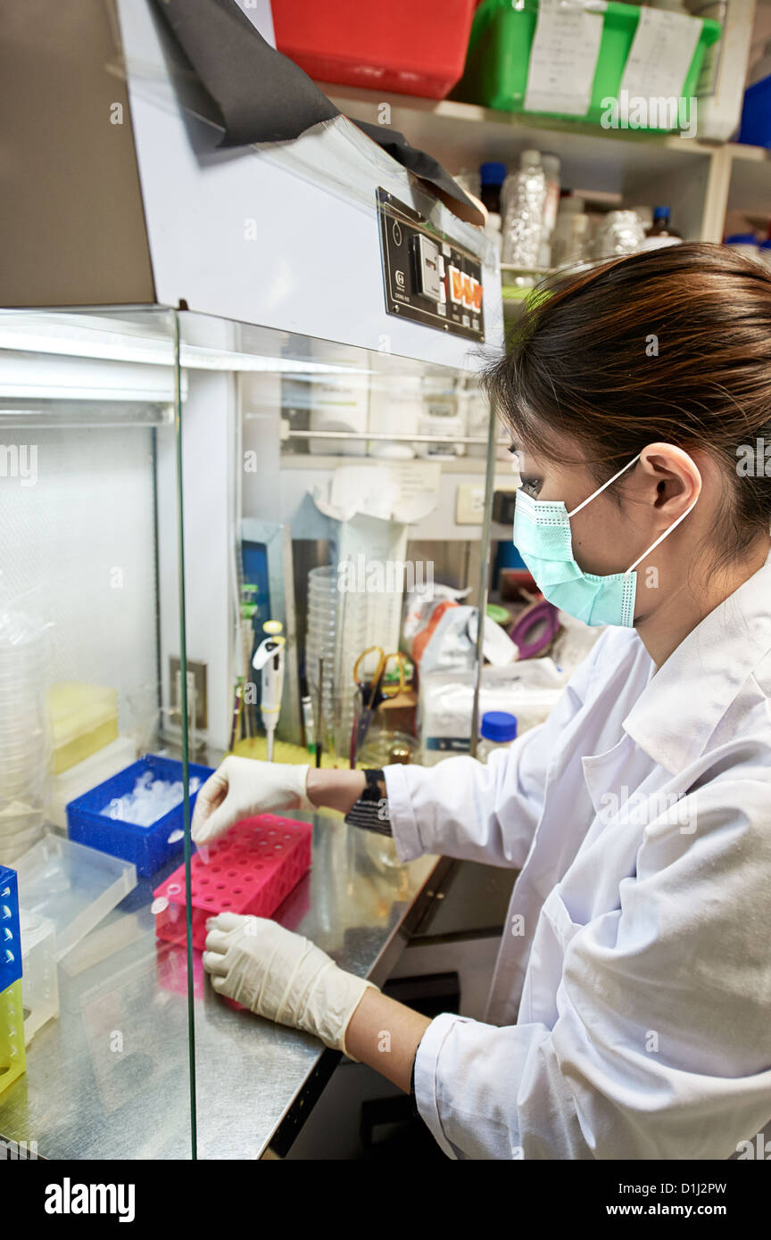 Textile lab hi-res stock photography and images - Alamy