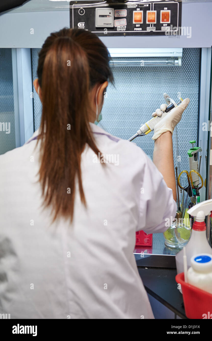 A lab worker filling test tubes at a textile research lab and factory ...