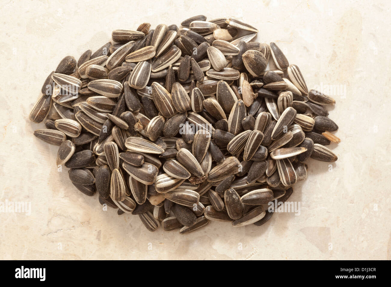 Seeds and shells hi-res stock photography and images - Alamy