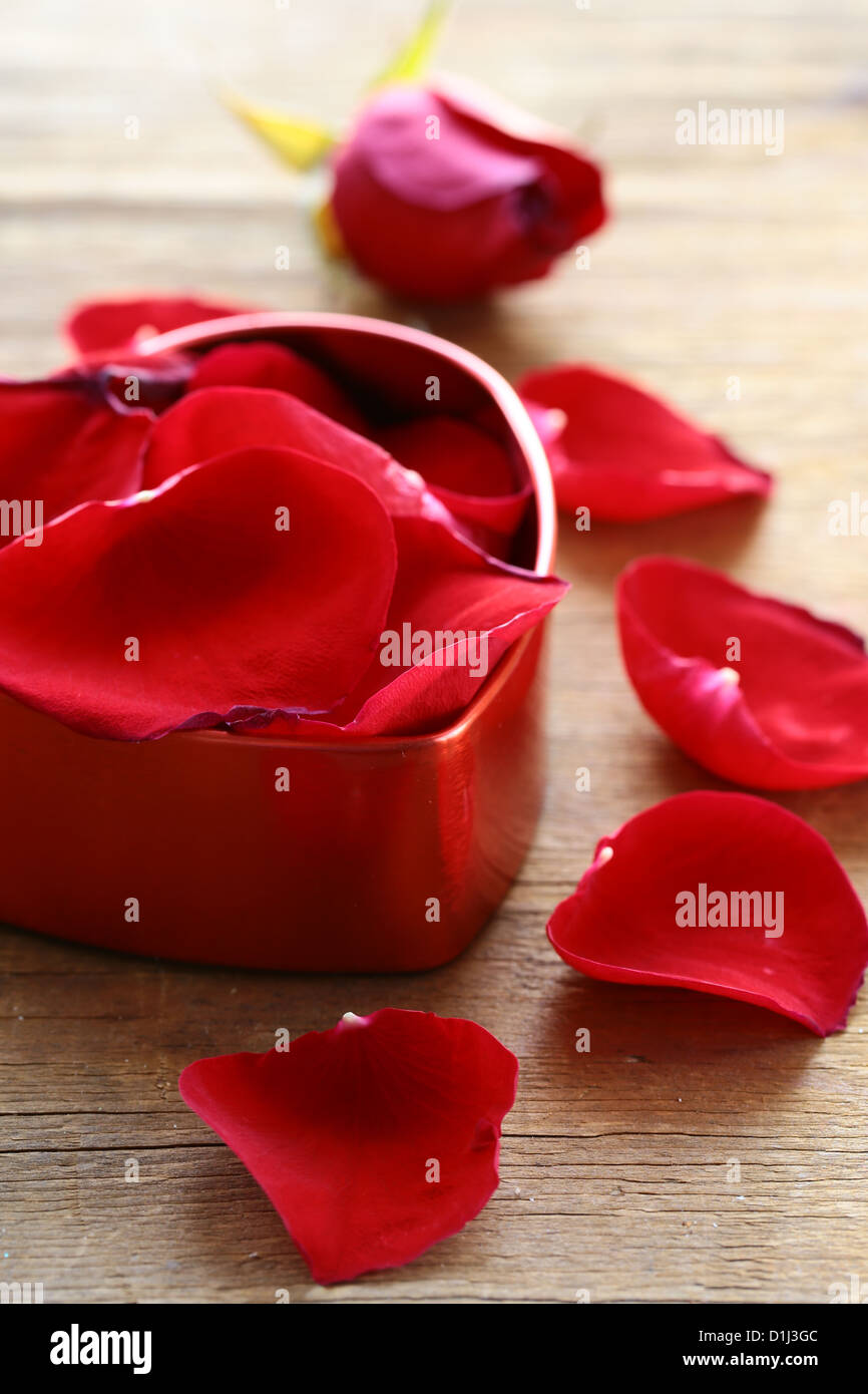 Roses in a box hi-res stock photography and images - Alamy