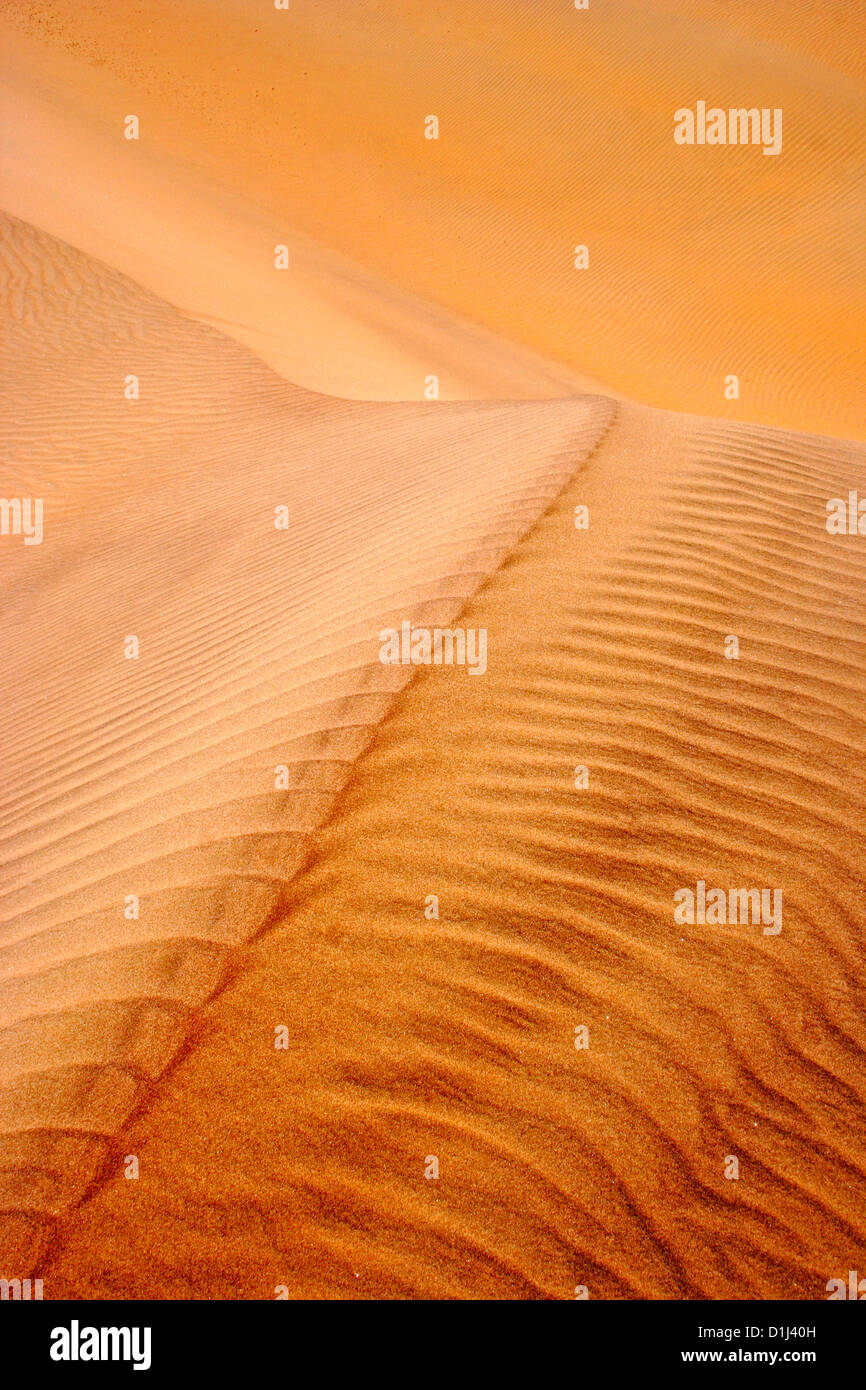Ripples in the desert sand dunes Stock Photo - Alamy