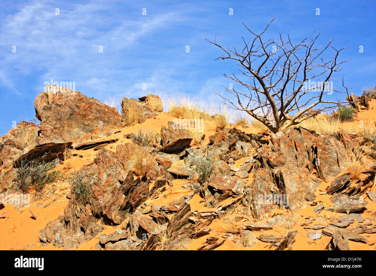 Norther landscape hi-res stock photography and images - Alamy