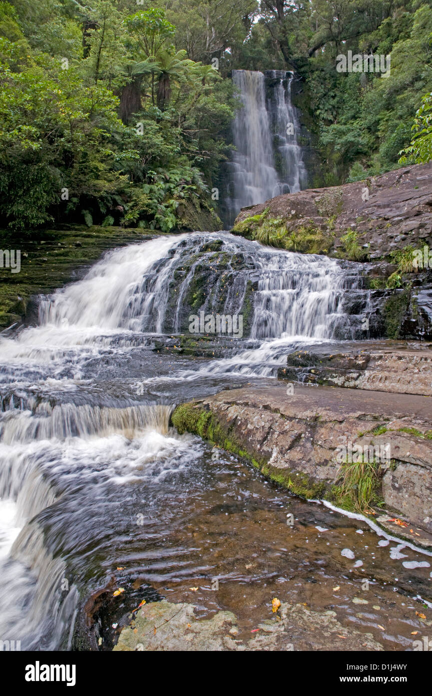 McLean Falls in the Catlins, South Island, New Zealand Stock Photo - Alamy