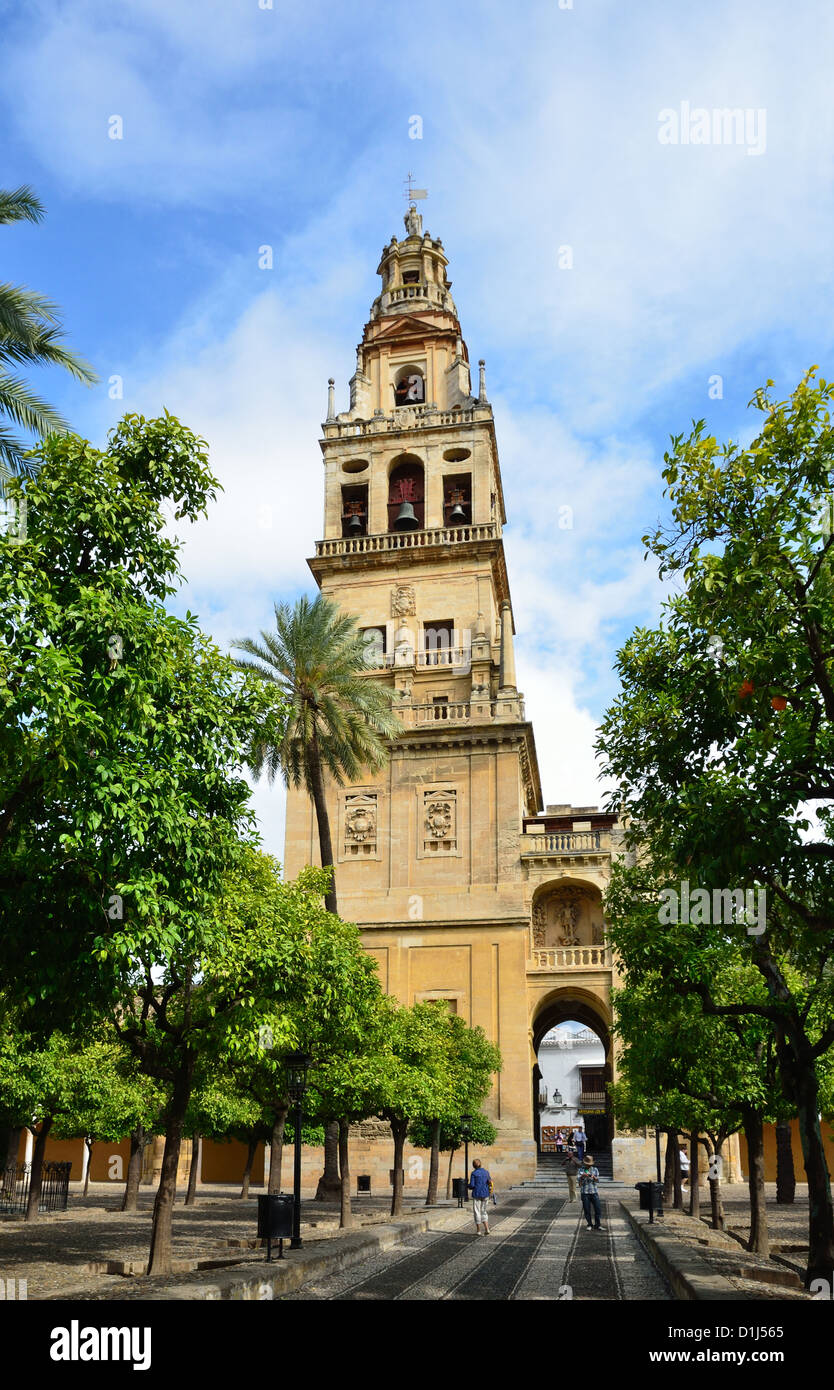 Mosque of the olive tree mosque hi-res stock photography and images - Alamy