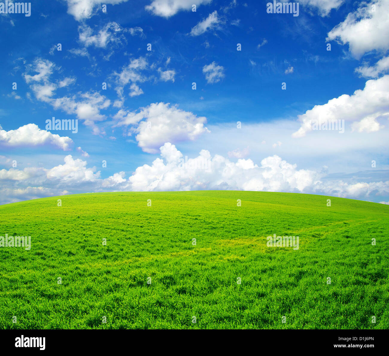 Field view sky hi-res stock photography and images - Alamy