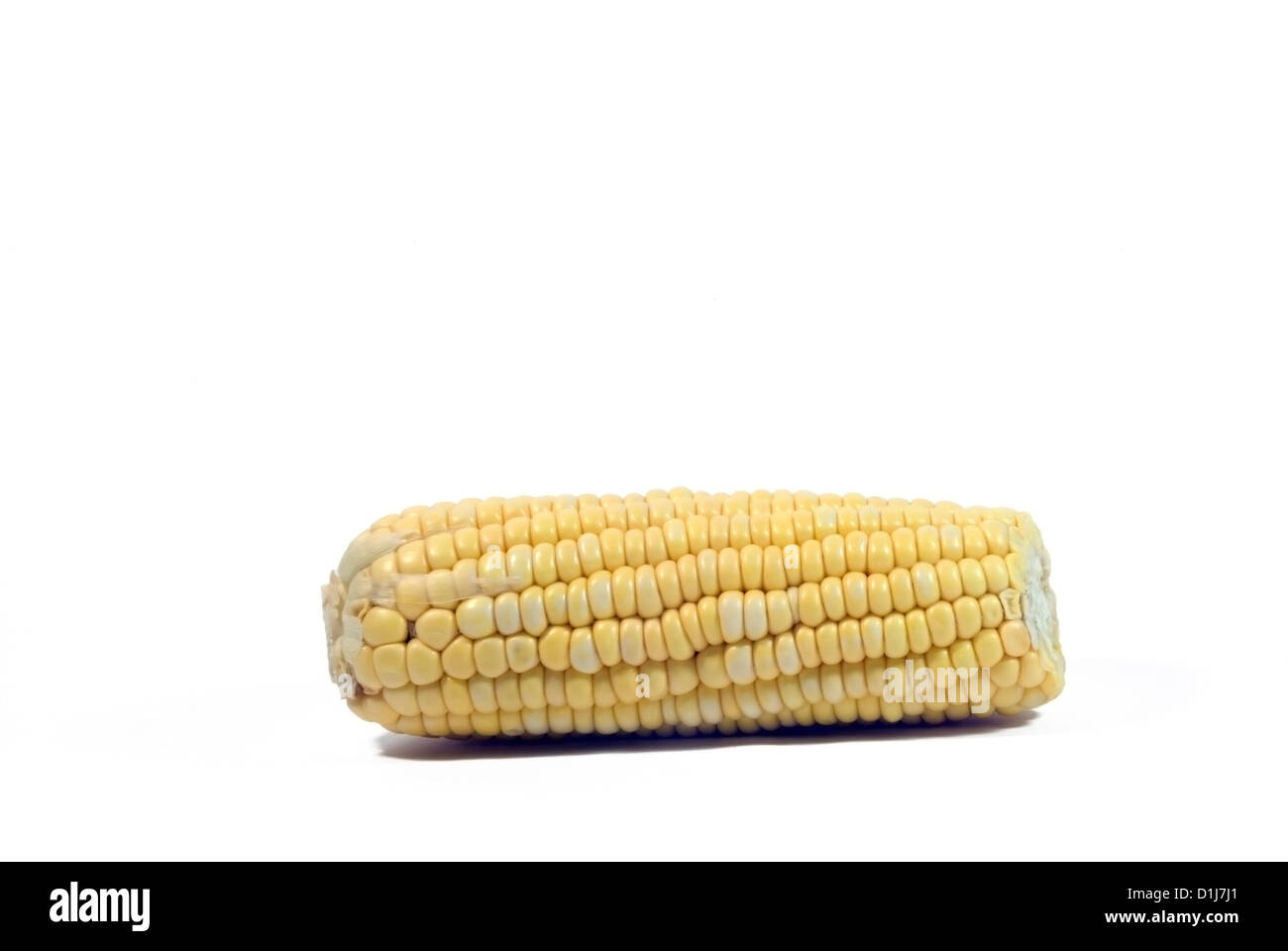 Corn cob on white background Stock Photo - Alamy