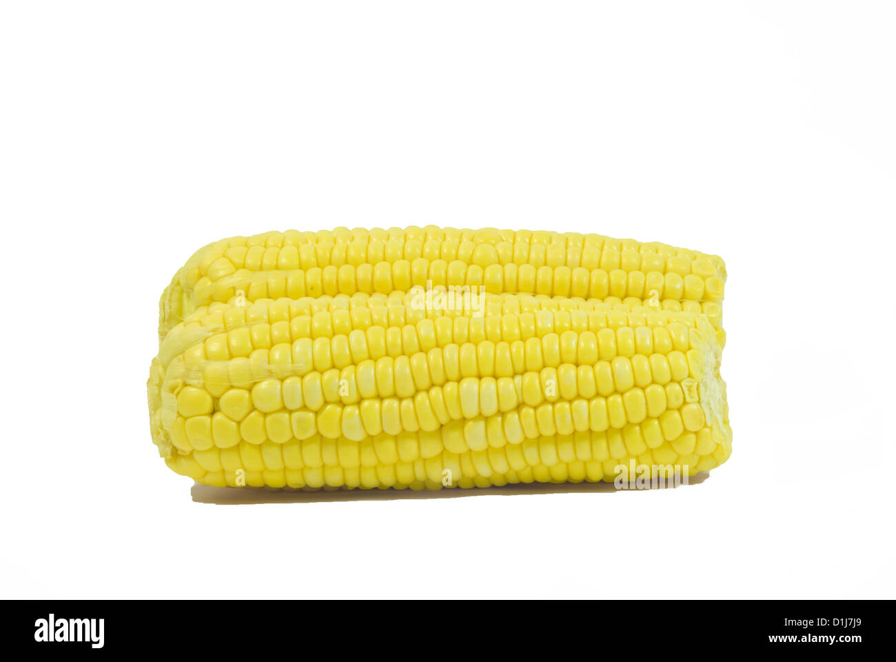 Corn cob on white background Stock Photo - Alamy