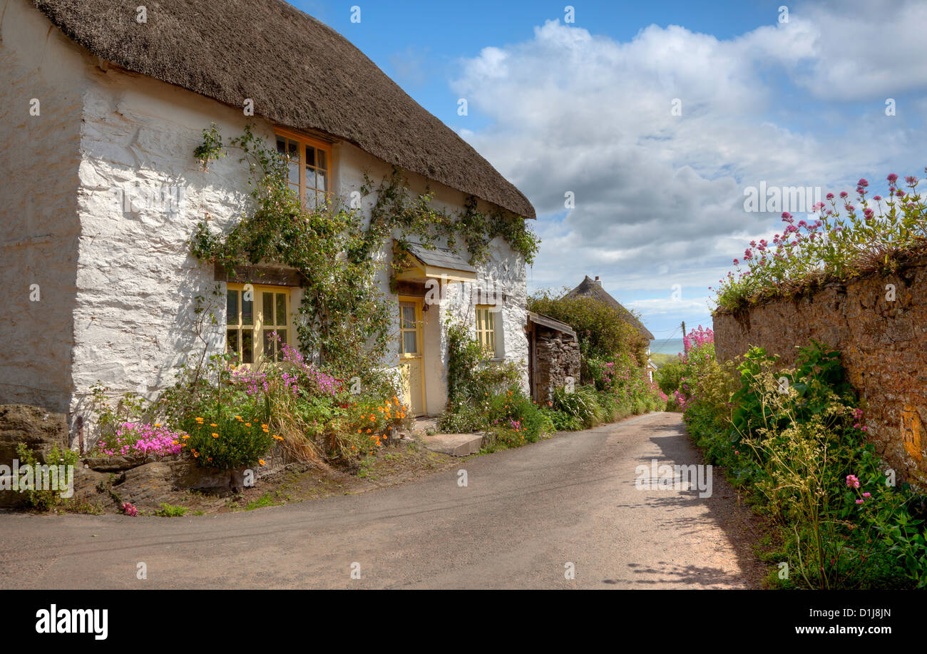 Thatched cottage with pretty flowers, Devon, England Stock Photo - Alamy