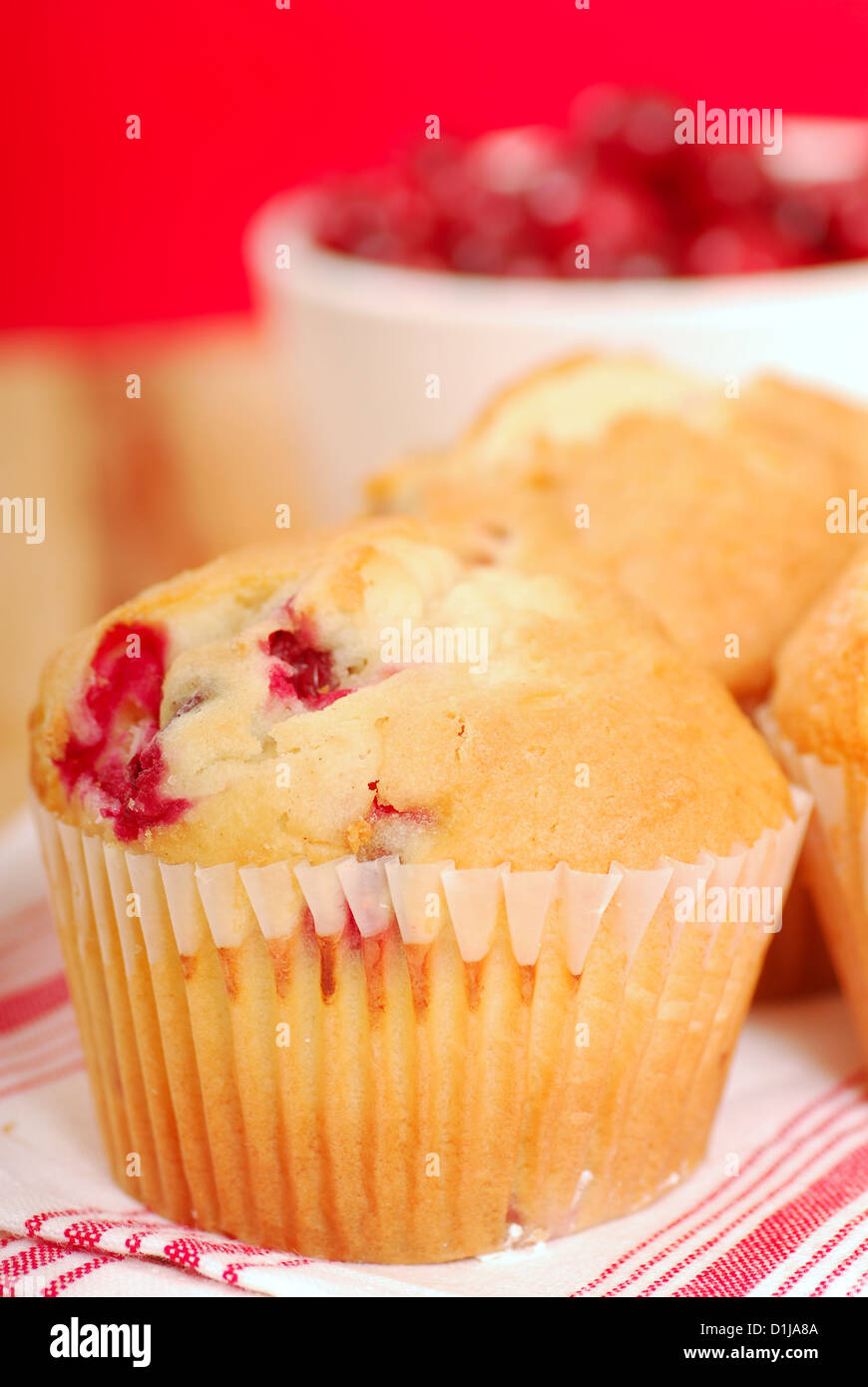 Freshly baked cranberry muffin with cranberries in background Stock ...