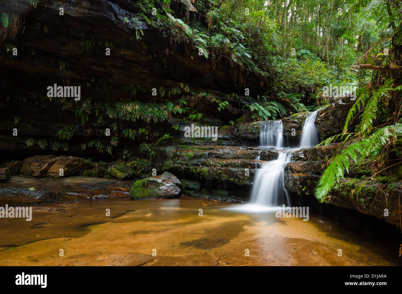 Waterfall blue mountains nsw australia hi-res stock photography and ...