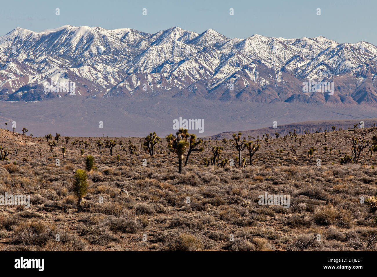 Monte Cristo mountains near Goldfield, Nevada, USA Stock Photo - Alamy