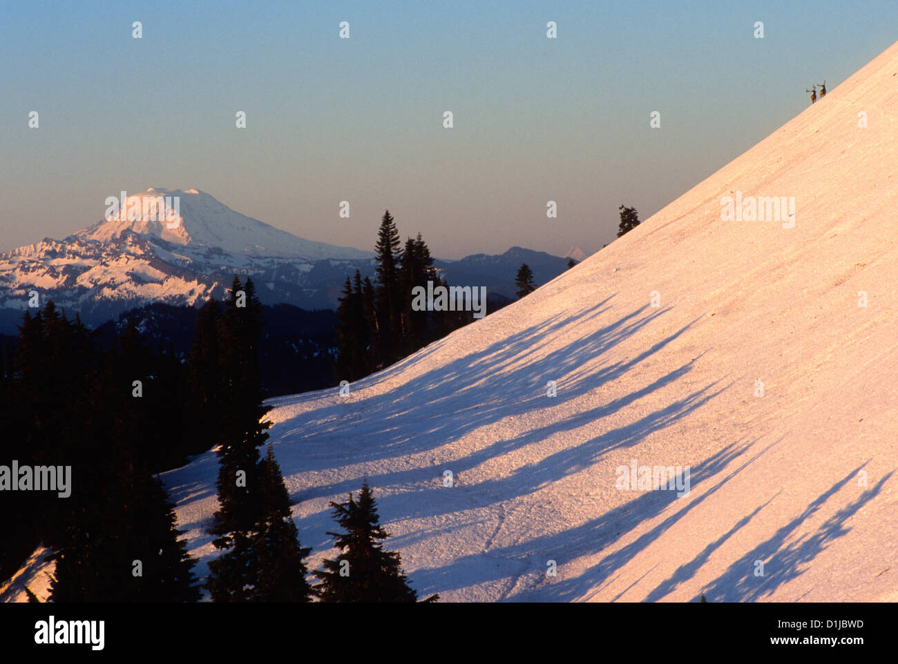 Mt Adams, Washington Stock Photo - Alamy