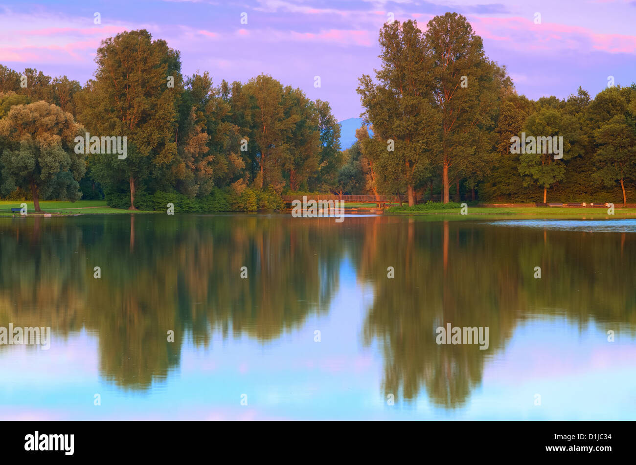 Reflection of Trees at the Rheinaue in Bonn, Germany Stock Photo - Alamy
