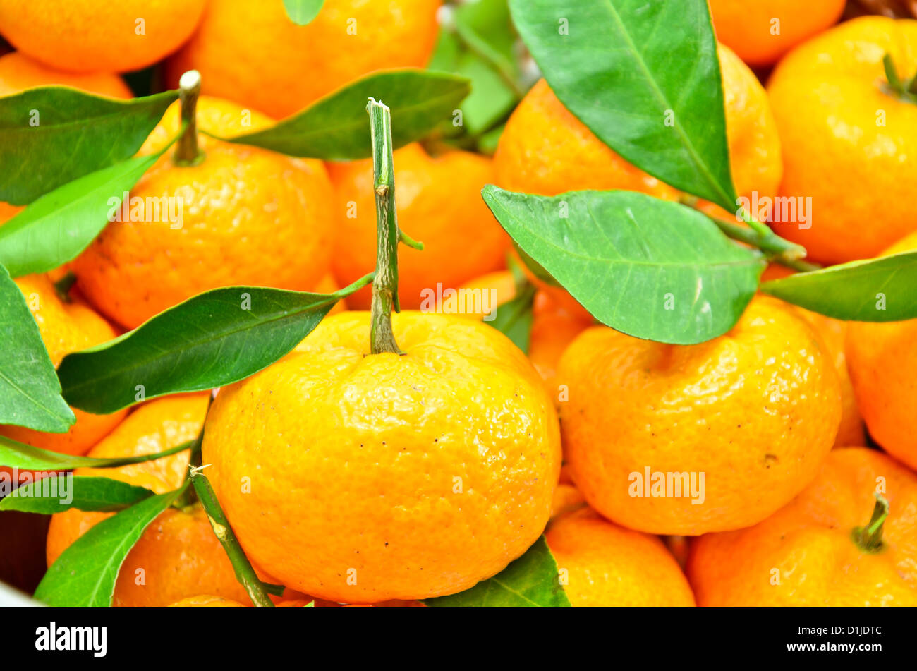 Yellow of Orange from Chinese country Stock Photo - Alamy