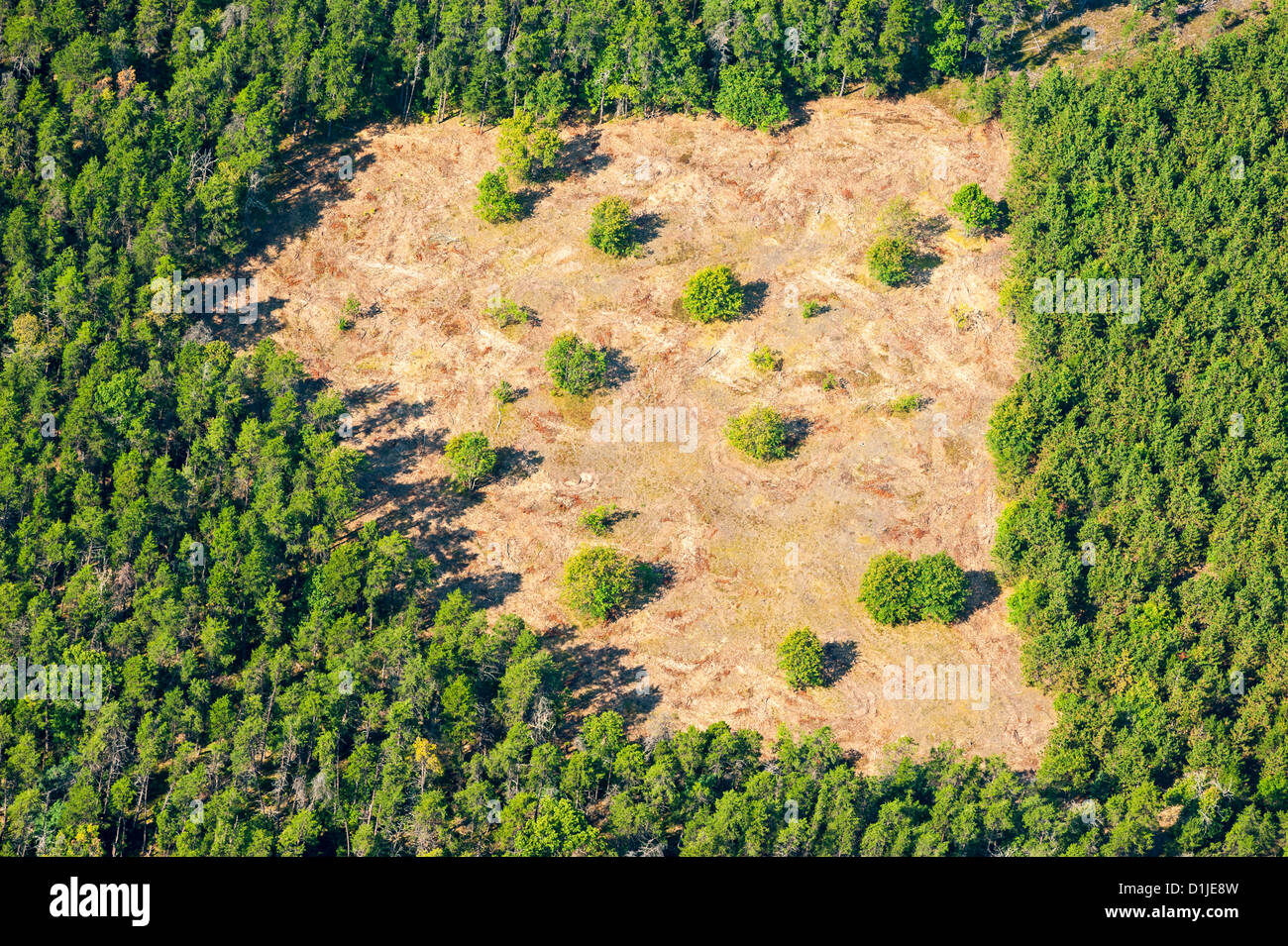 Aerial view of forest opening maintenance project on the Huron-Manistee ...