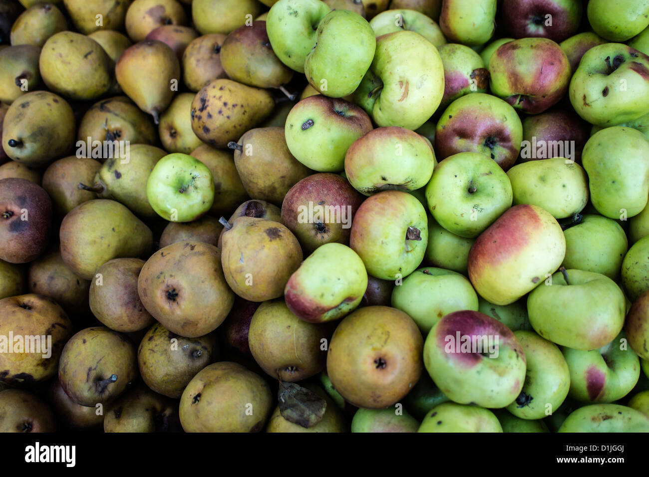 Pink Lady apple with seckel pears at farmers market Stock Photo - Alamy