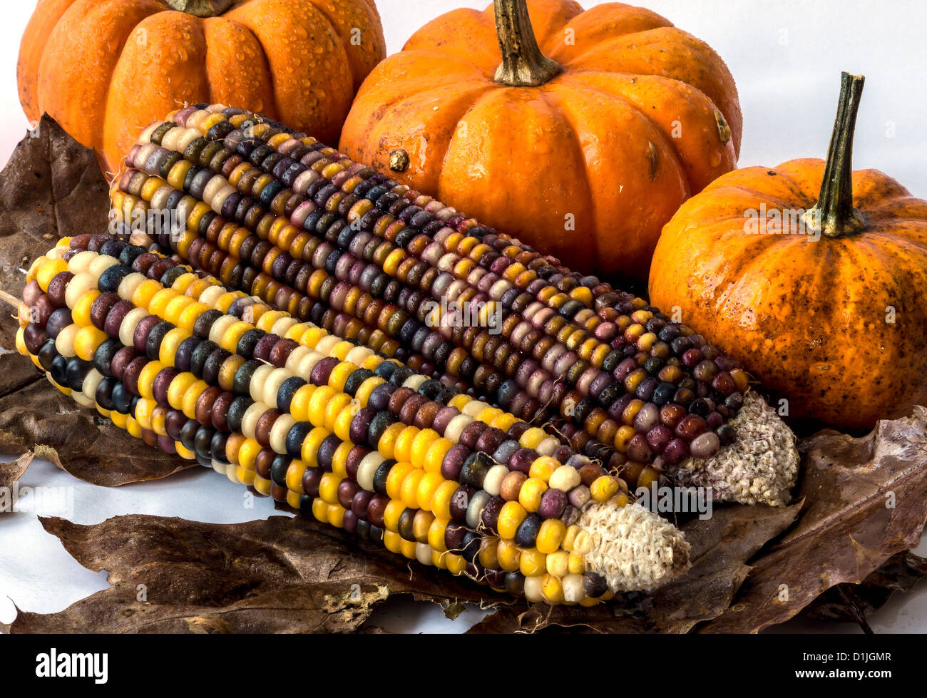 A pumpkin is a gourd-like squash of the genus Cucurbita and the family ...