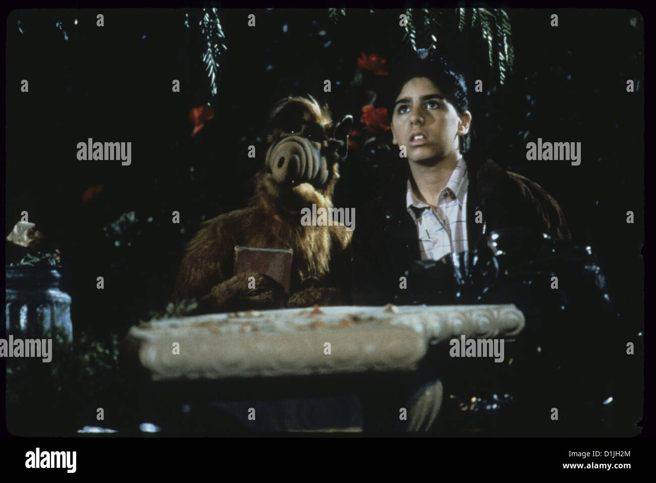 Alf: Year 3 -- Szenenbild Stock Photo - Alamy