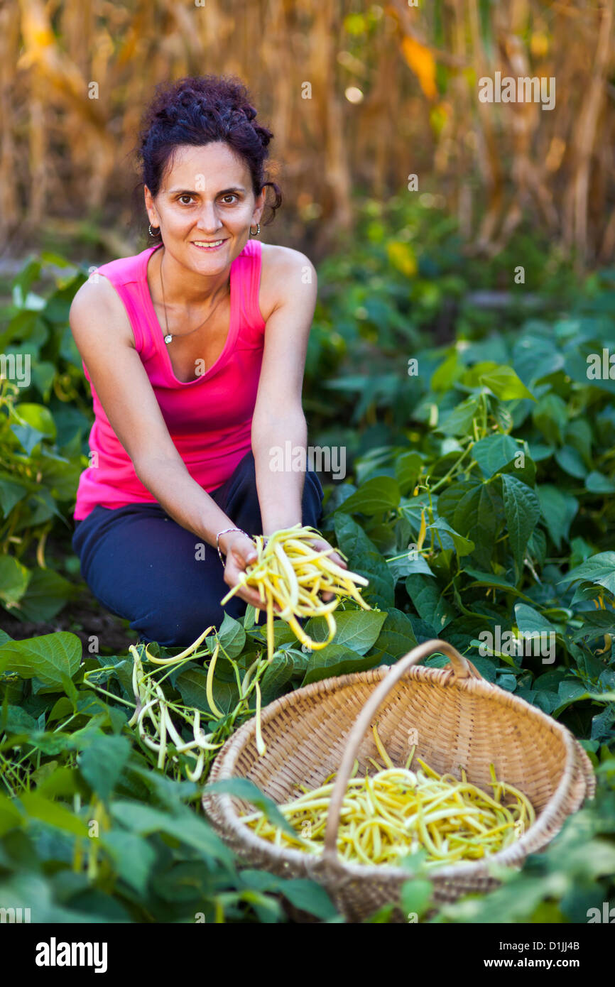 Portrait of a young woman picking bean pods in the countryside Stock ...