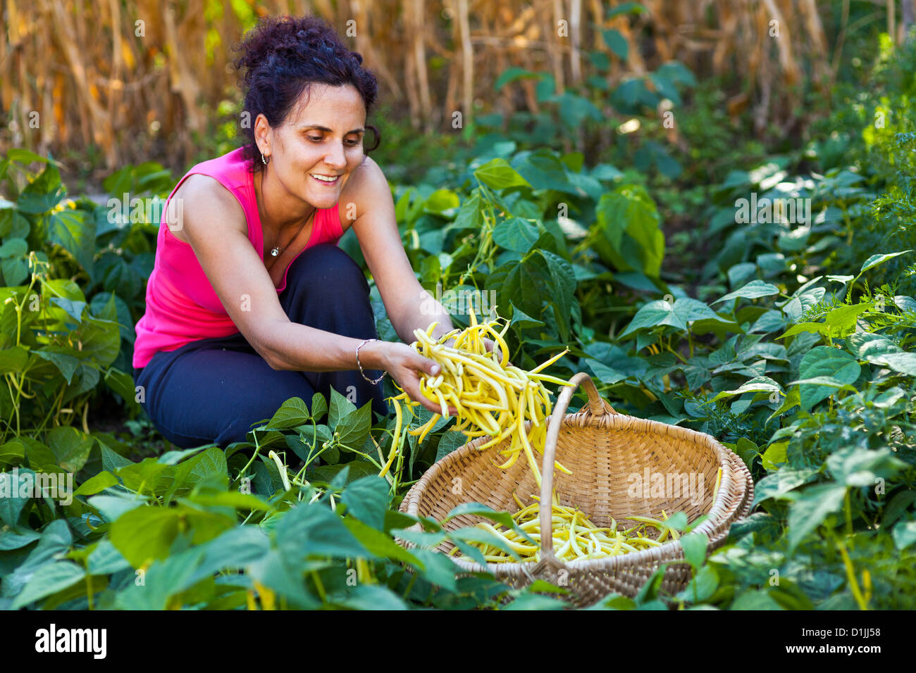 Portrait of a young woman picking bean pods in the countryside Stock ...