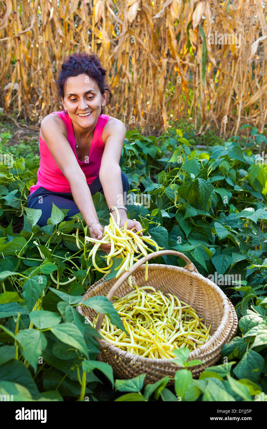 Portrait of a young woman picking bean pods in the countryside Stock ...