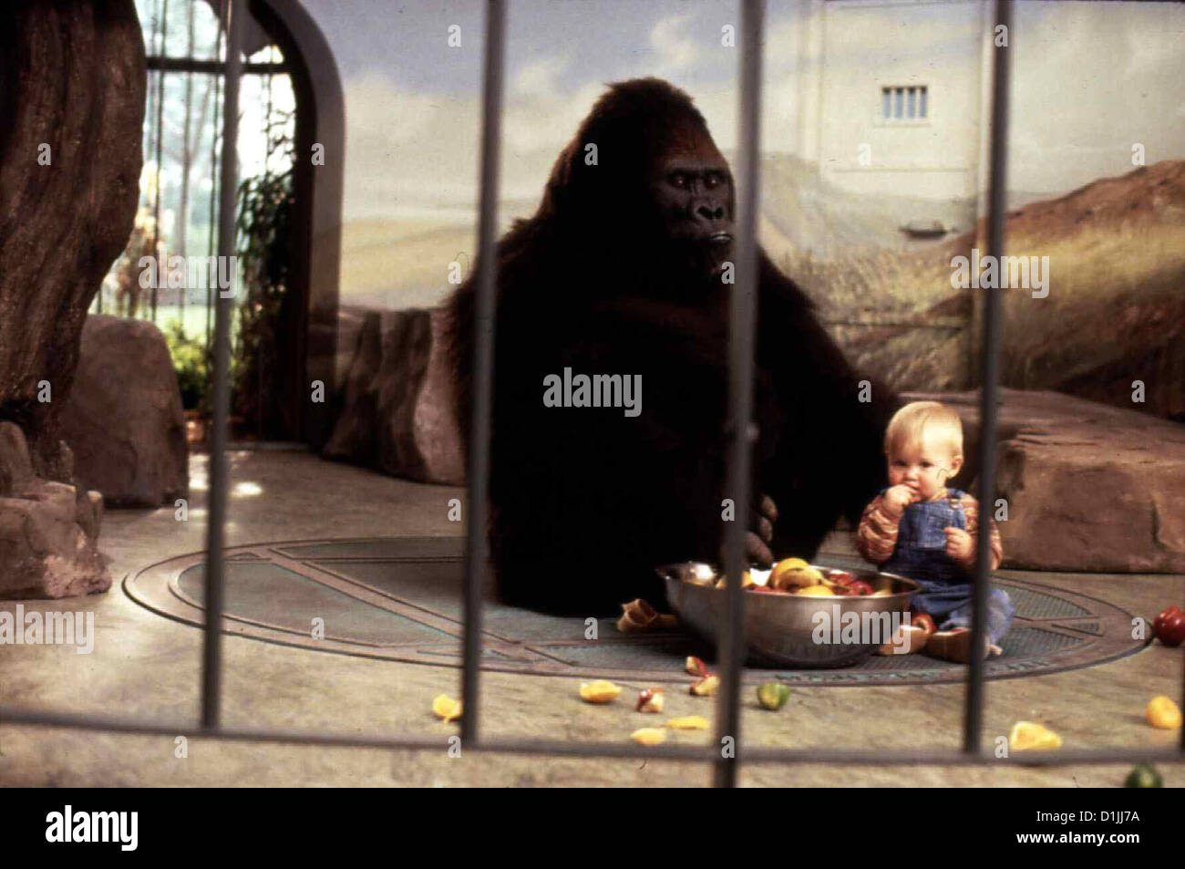 Adam Robert Worton And Jacob Joseph Worton