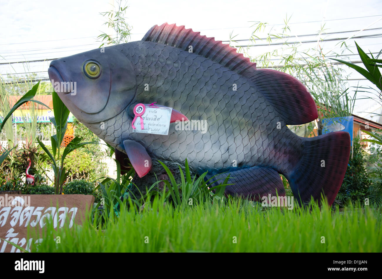 Black fish festival hi-res stock photography and images - Alamy