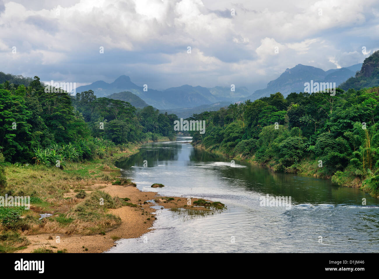 Tropical river. The river flowing in the country of Sri Lanka Stock ...