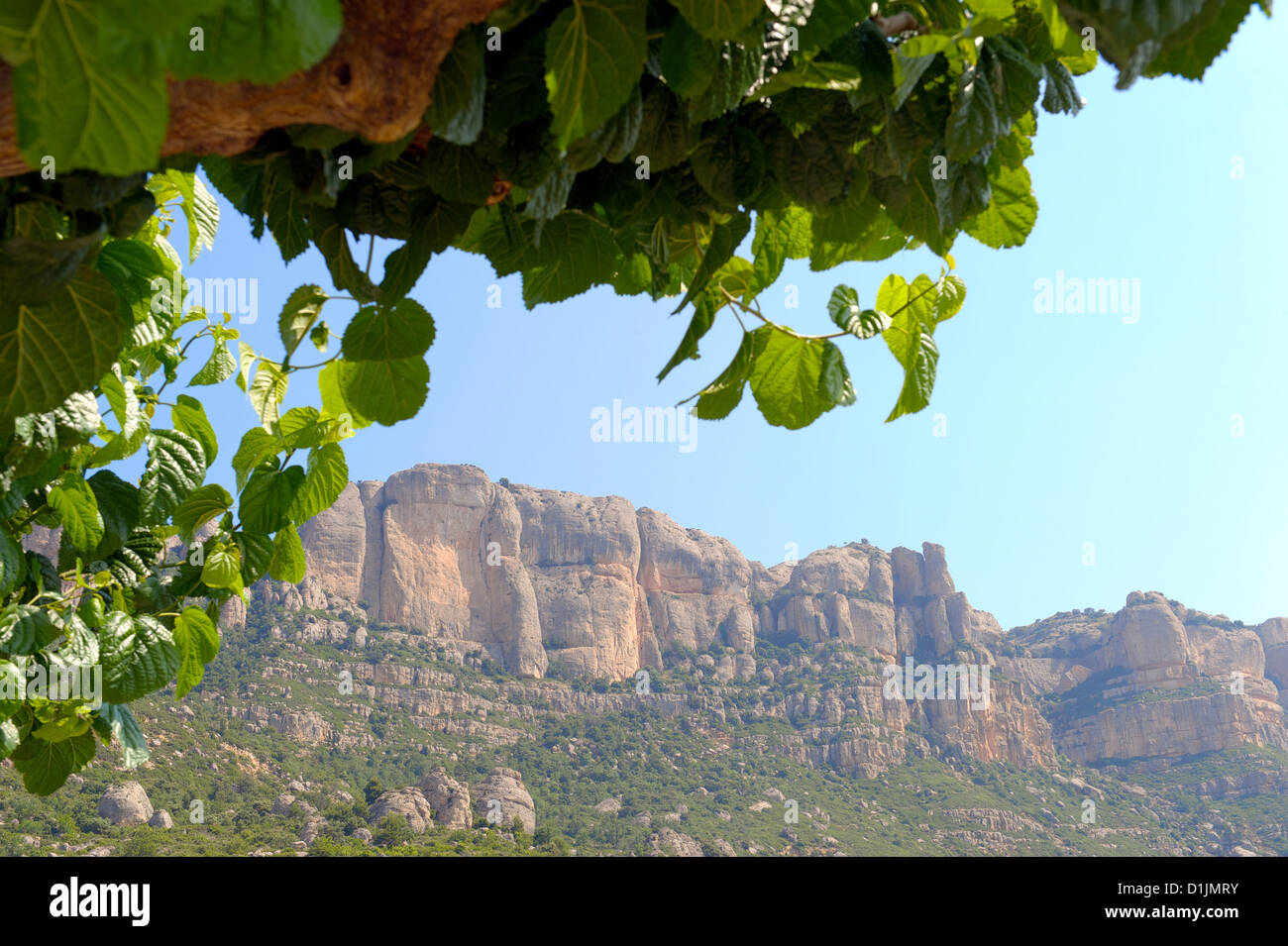 Priorat montsant hi-res stock photography and images - Alamy