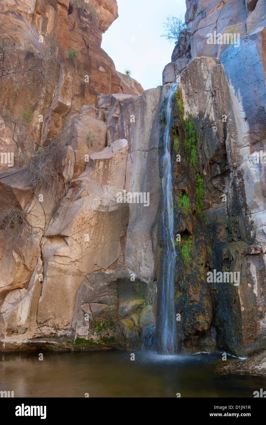 Waterfall and pool in Chaulk Canyon, a sidecanyon of the Salt River in ...
