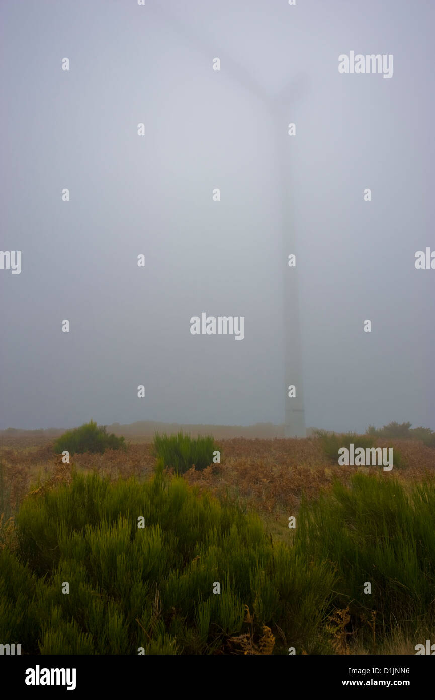 A large plateau at 1300 to 1500 meters above the sea level on Madeira ...