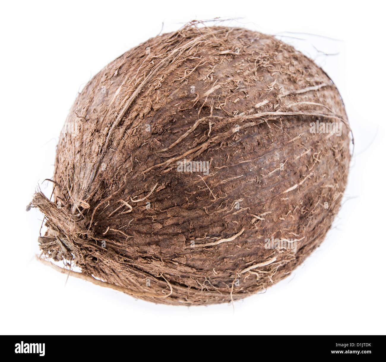 Closed Coconut isolated on white background Stock Photo - Alamy