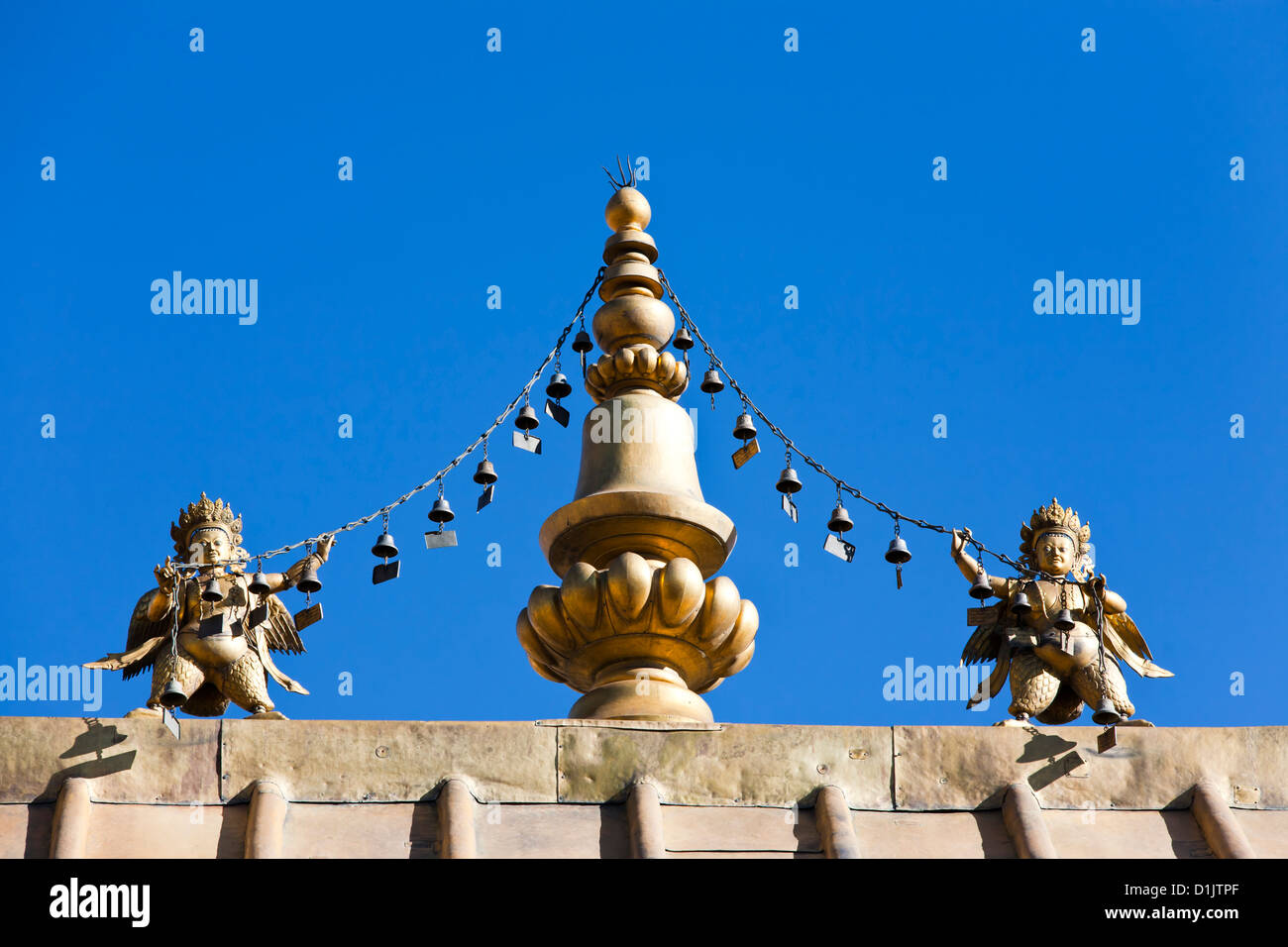Lhasa tibet gold hi-res stock photography and images - Alamy
