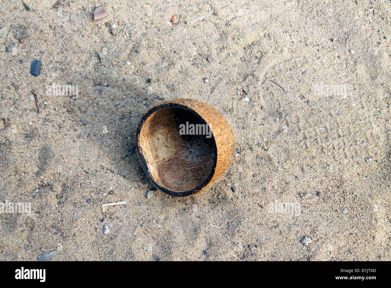 A coconut shell thrown away from the kitchen Stock Photo - Alamy
