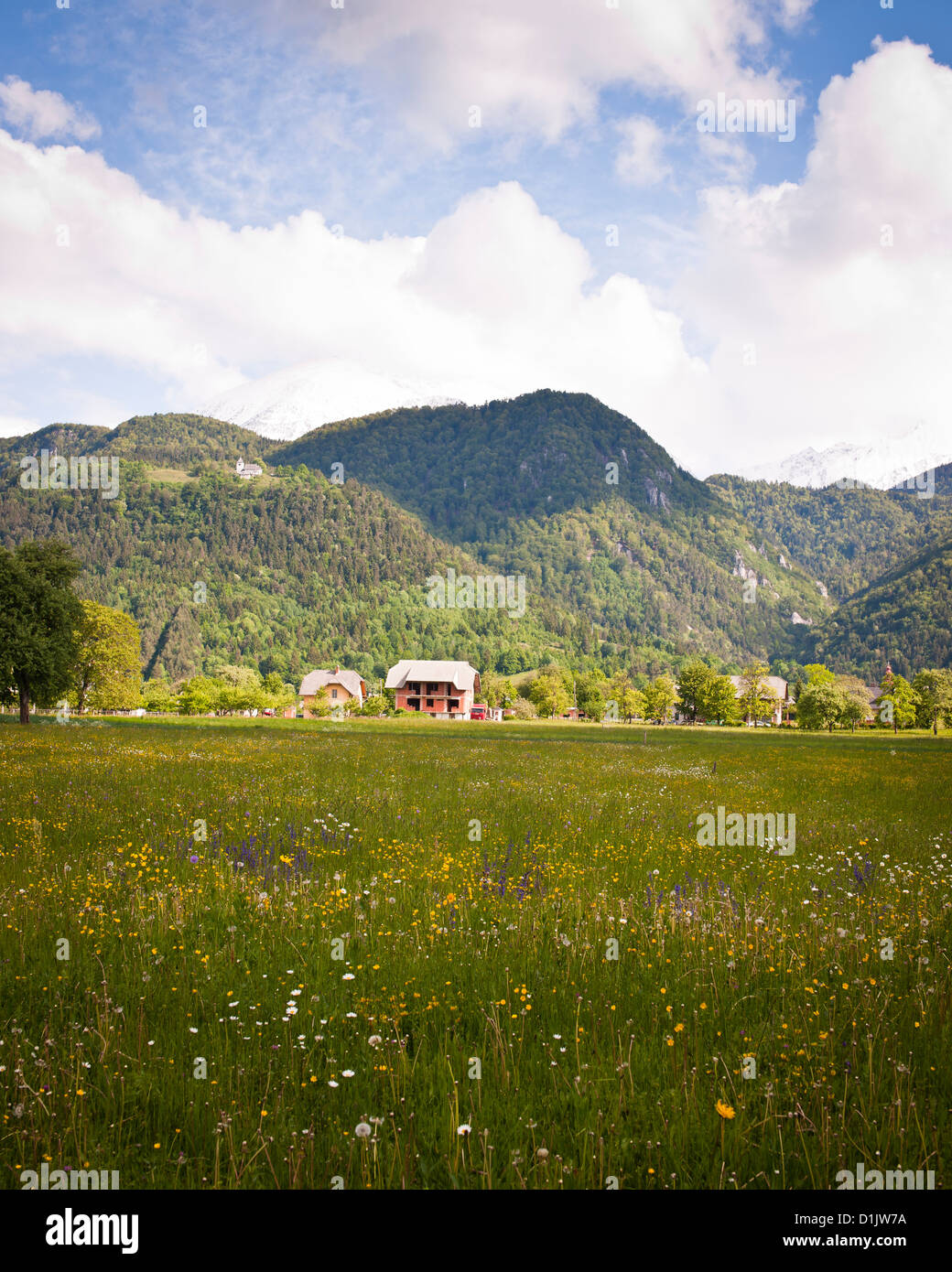 Rural scene countryside hi-res stock photography and images - Alamy