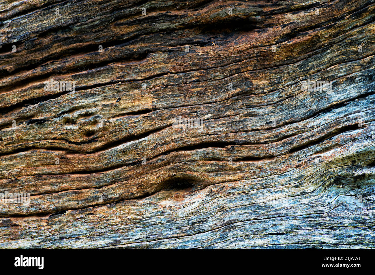 Old wooden seat texture Stock Photo - Alamy