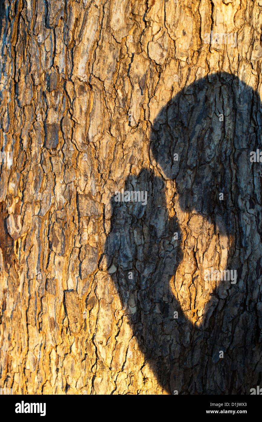 Silhouette man praying on indian hi-res stock photography and images ...