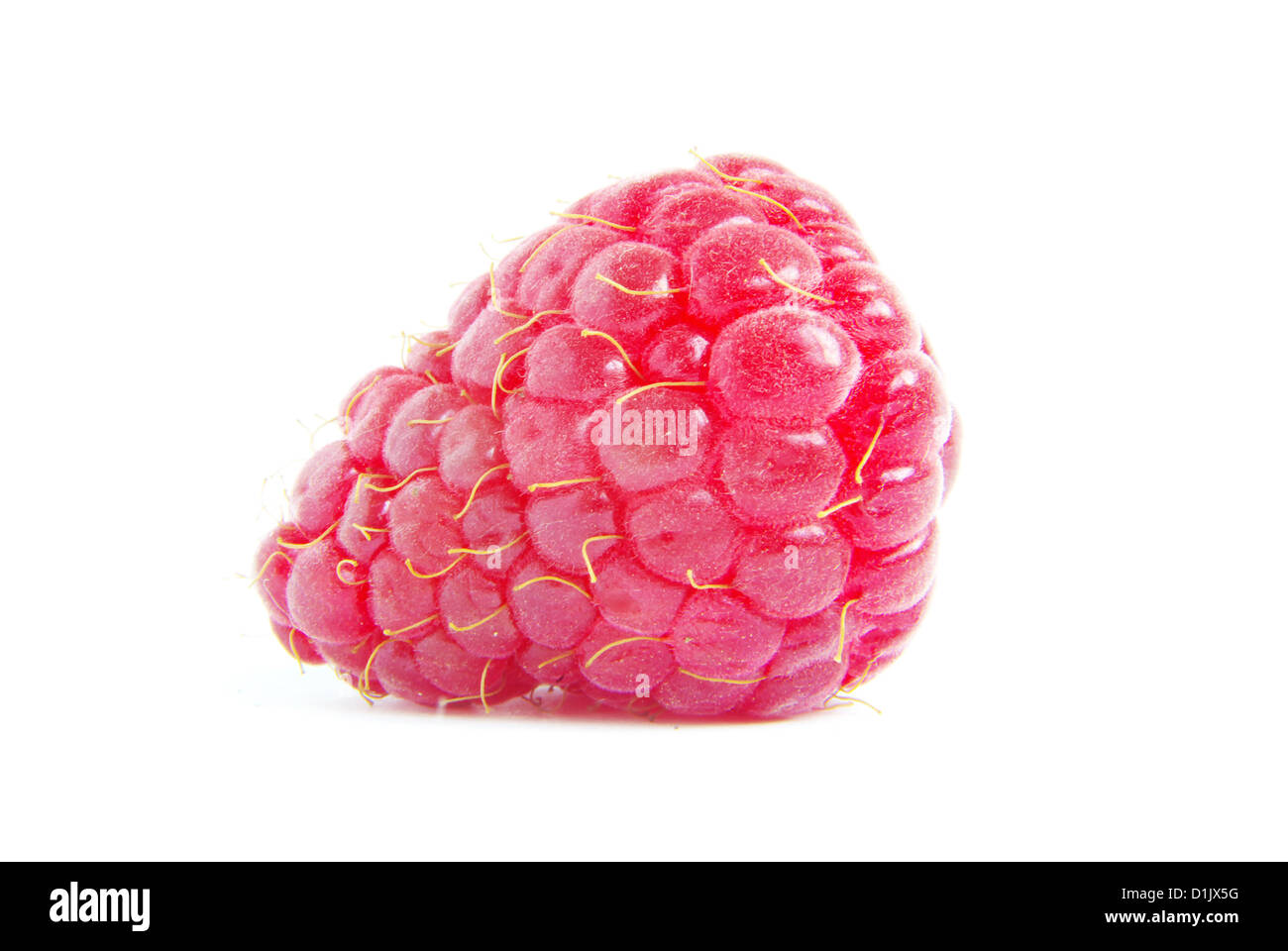 Ripe raspberry on a white background Stock Photo - Alamy