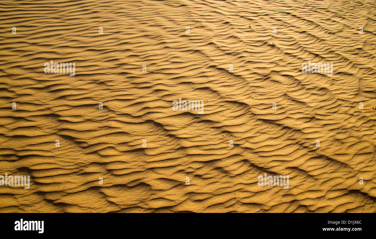 Desert gold hi-res stock photography and images - Alamy