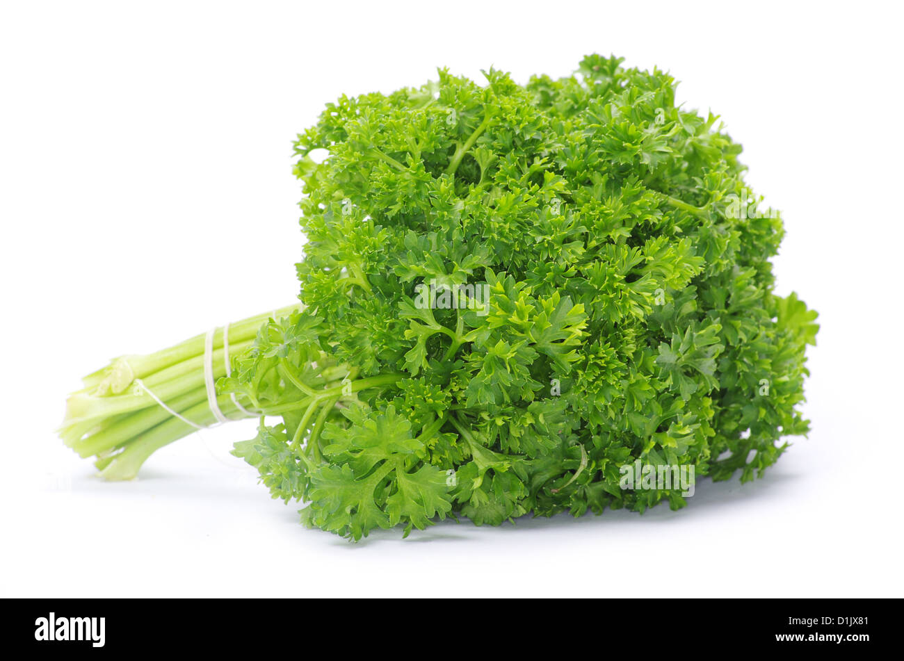 Bunch of fresh green parsley isolated on white background Stock Photo ...