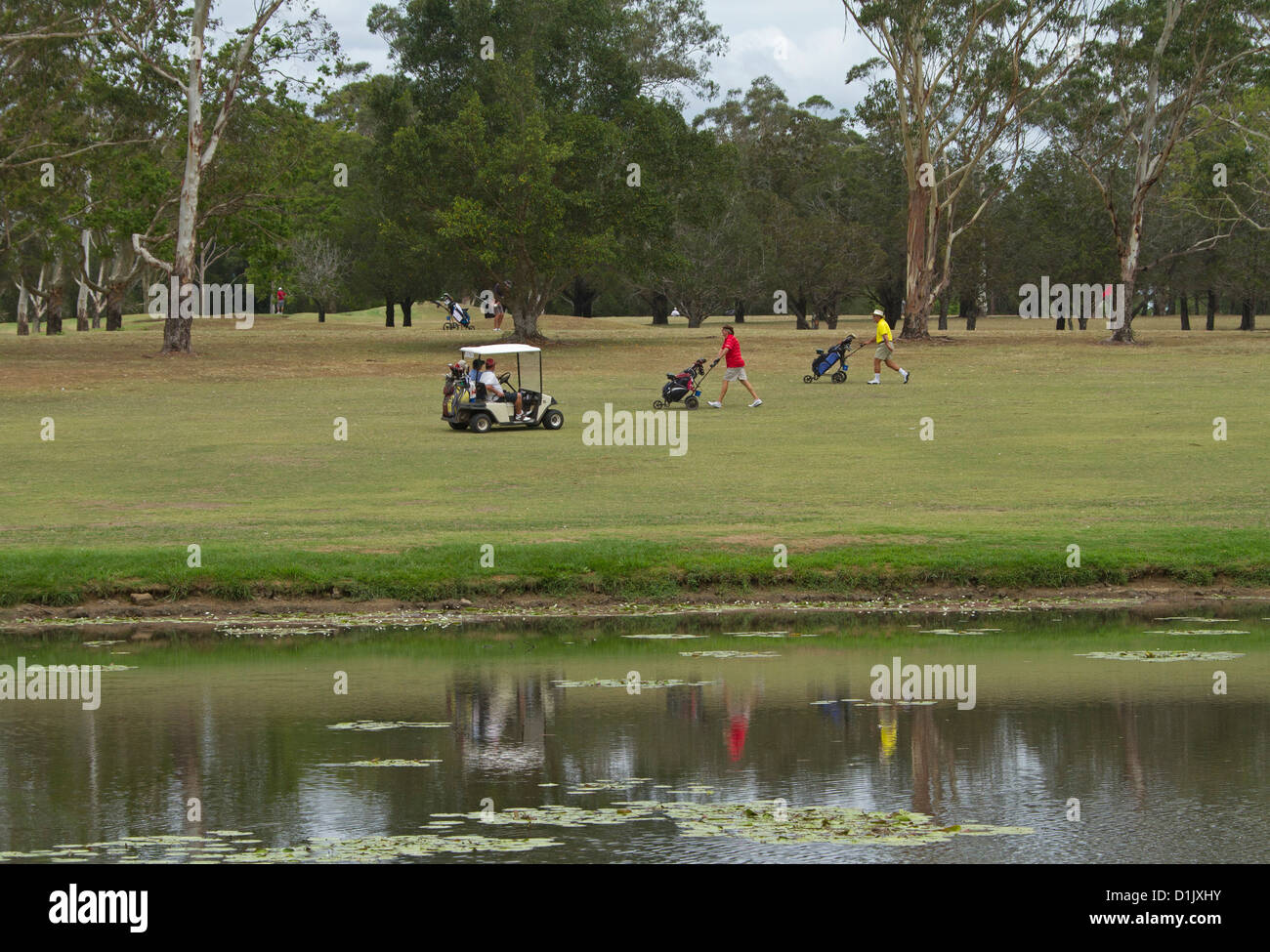 Golfers with golf buggy beside the lagoon at golf course beside Ululah ...
