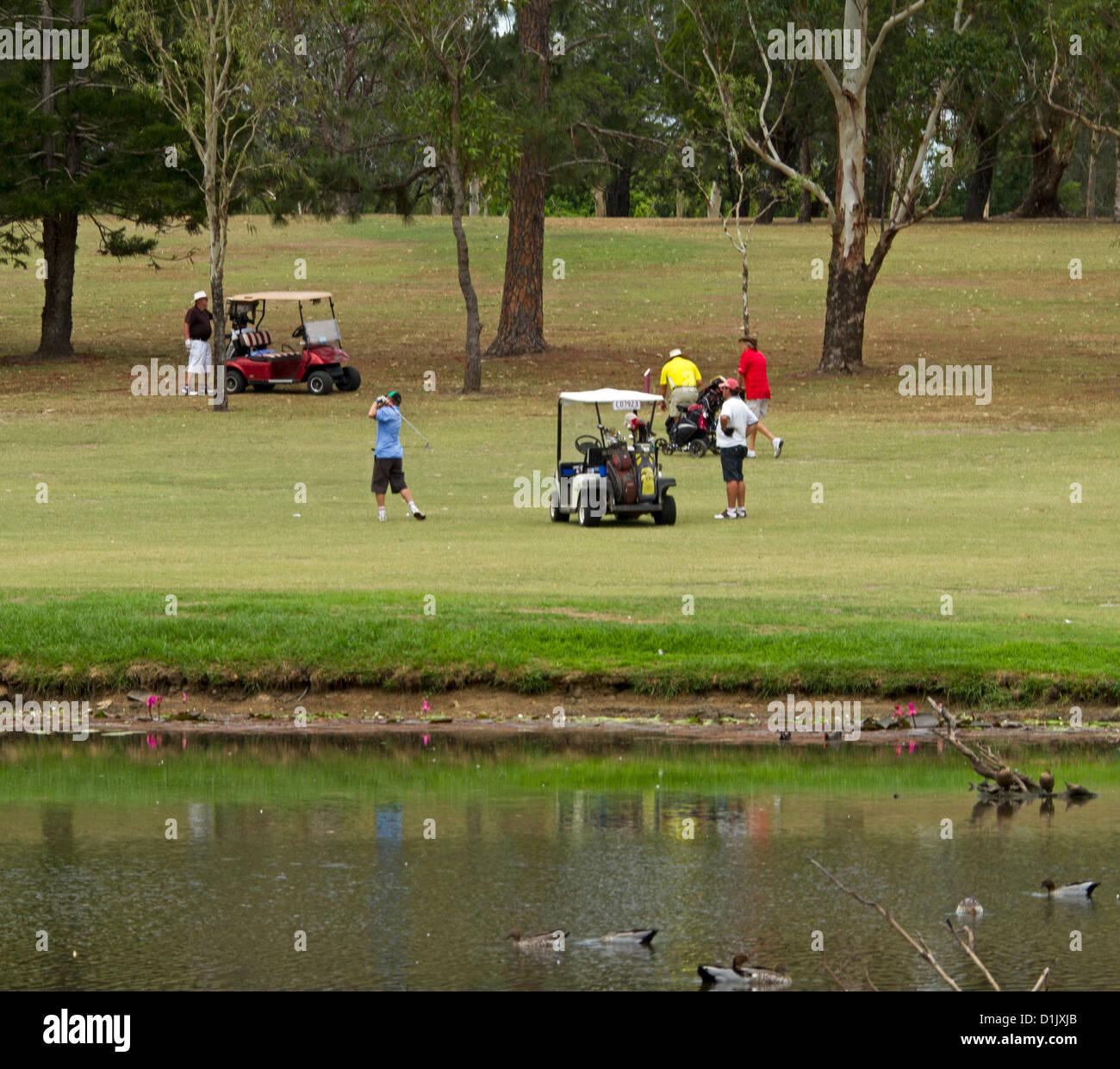 Golfers with golf buggy / cart beside the lake at golf course at ...