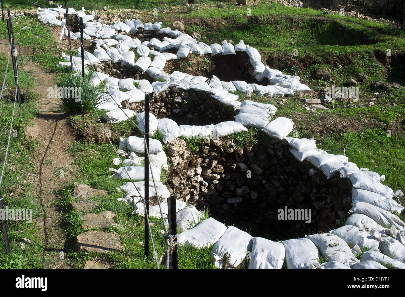 Numerous structured silos excavated at Tel-Motza and known to be used ...
