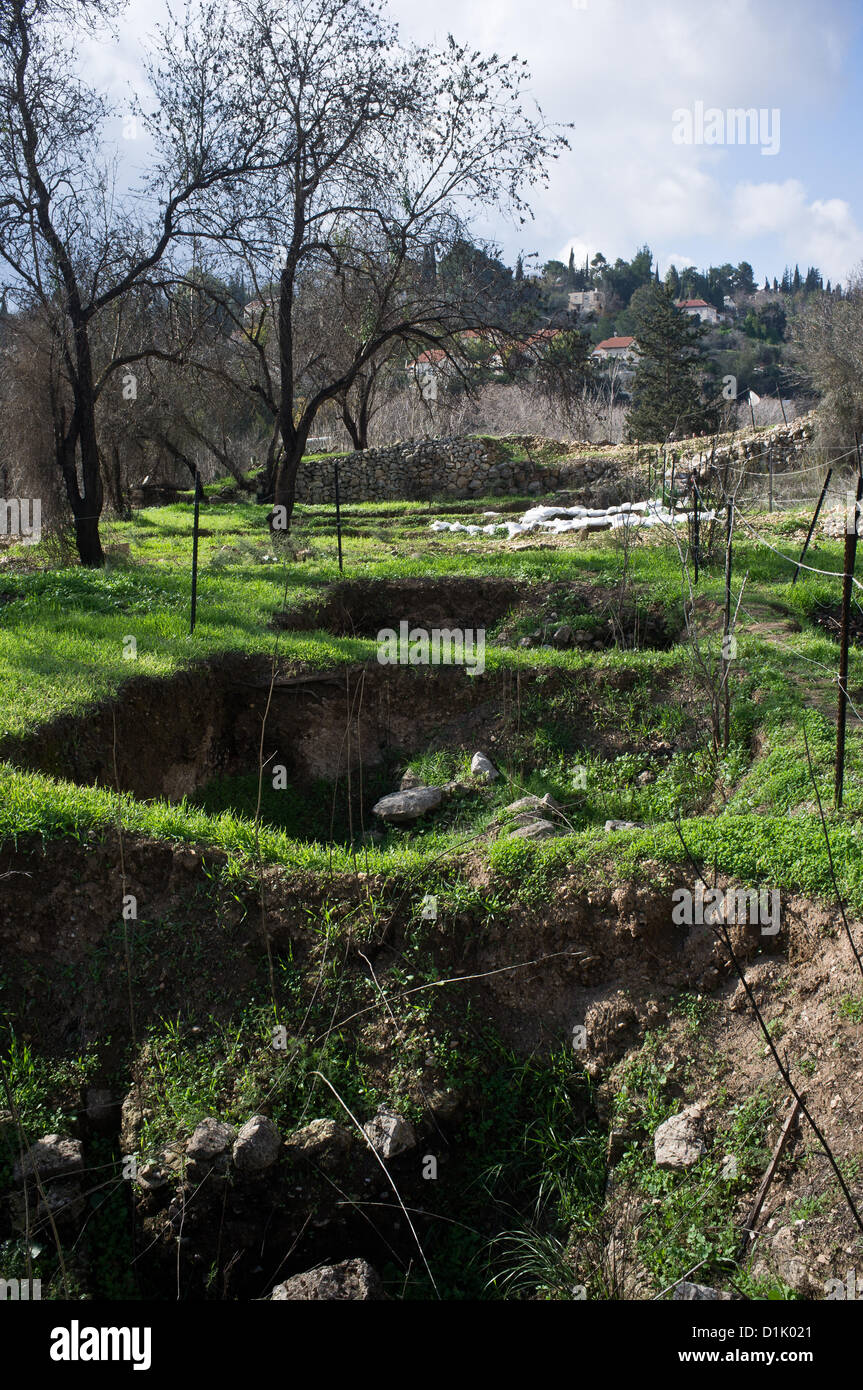 Numerous structured silos excavated at Tel-Motza and known to be used ...