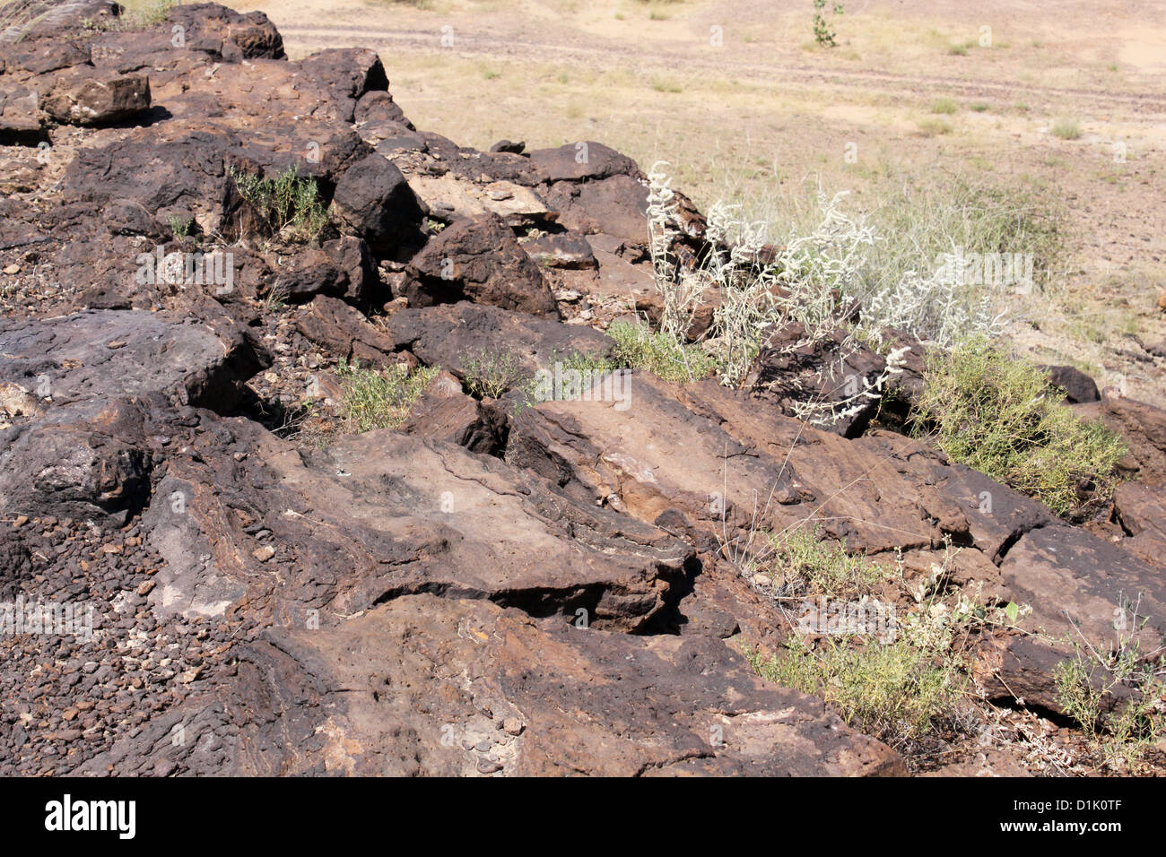 Extrusive igneous rock hi-res stock photography and images - Alamy