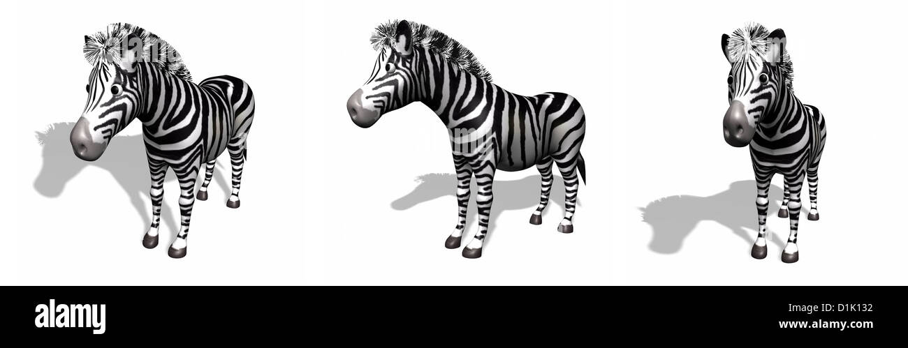 The three species of zebra Cut Out Stock Images & Pictures - Alamy