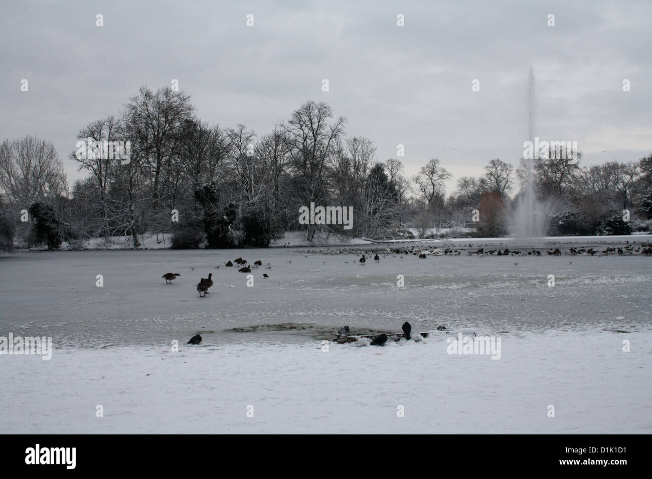 Snow Victoria Park London High Resolution Stock Photography and Images ...