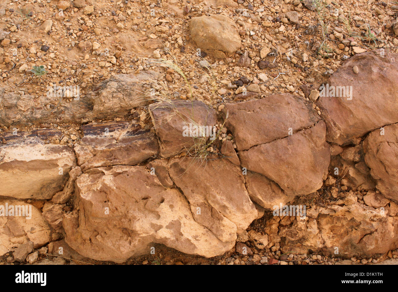 Akal hi-res stock photography and images - Alamy