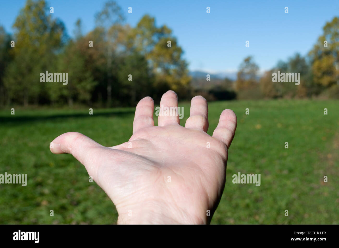 Man's palm extended toward a woods Stock Photo - Alamy