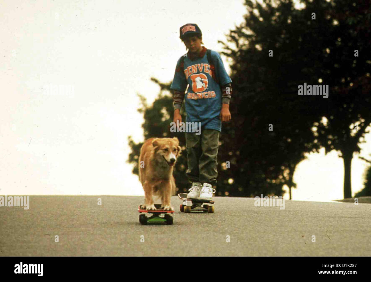 Bingo - Kuck' Mal Wer Da Bellt Bingo Robert J. Steinmiller jr. Bingo ...